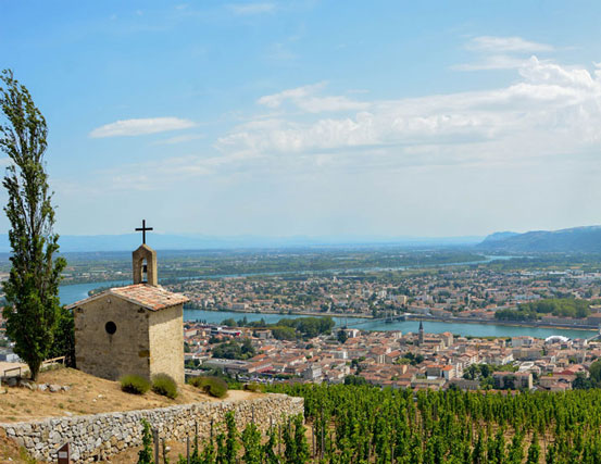 Explore the Best Rhone Valley Wines Today | Uncorked